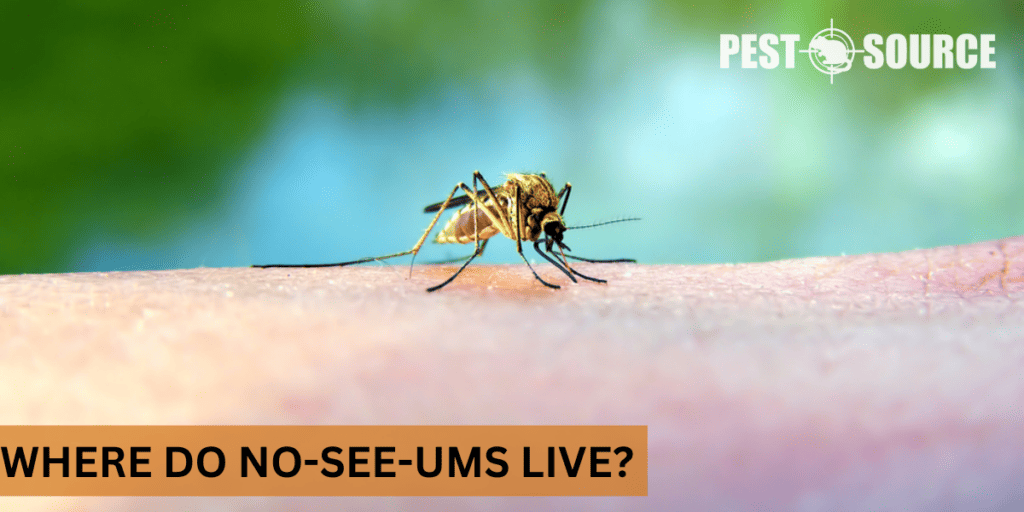 Where Do No-See-Ums Live? - Pest Source